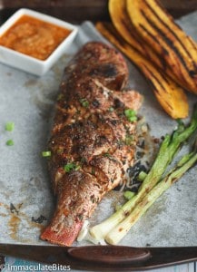 Caribbean Grilled Whole Red Snapper - Immaculate Bites