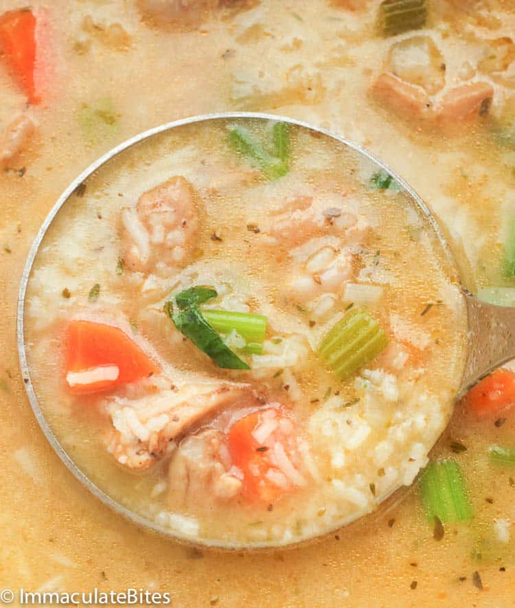 Chicken and Rice Soup - Immaculate Bites