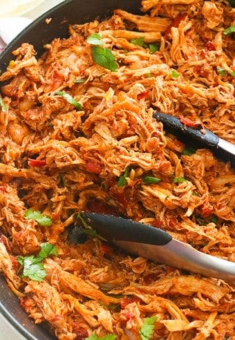 Chicken Tinga - Immaculate Bites