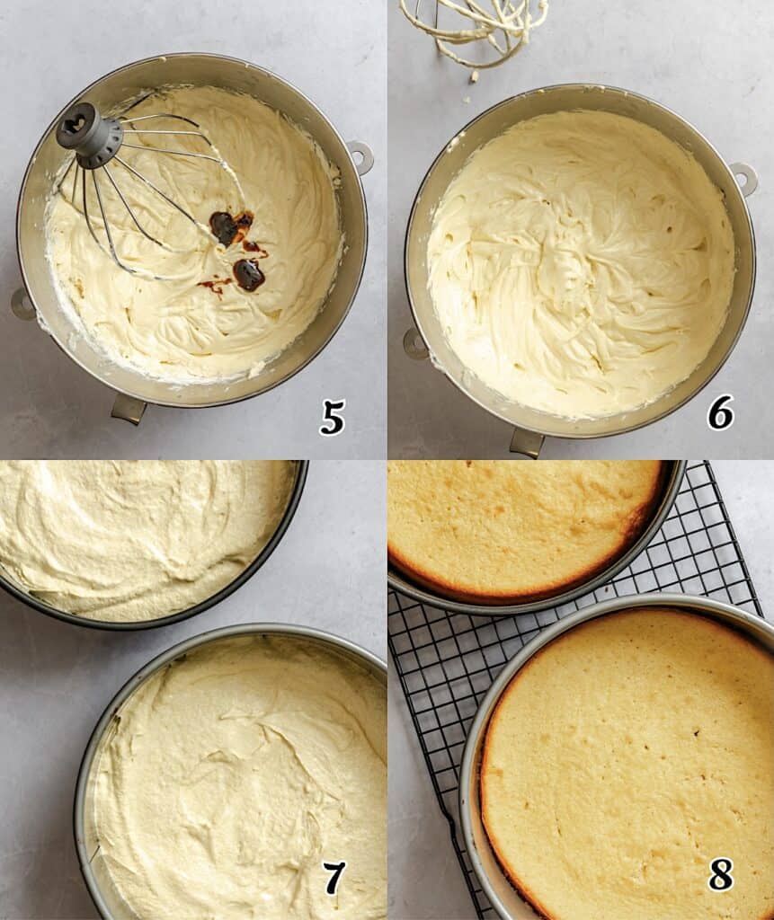 Vanilla Cake Recipe - Immaculate Bites